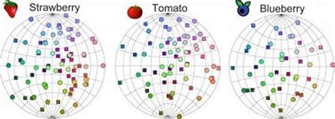 Whats That Smell A New Way Of Understanding Odors Neuroscience News Msensory