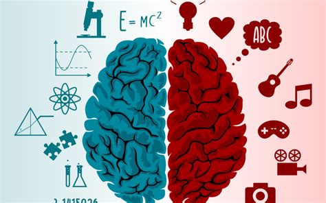 Understand The Difference Between Left And Right Noesis Learning Inc