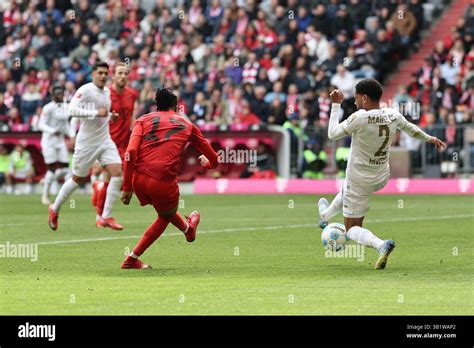 Munich Germany 26th Apr 2025 Soccer Bundesliga Bayern Munich Fsv Mainz 05 Matchday 31