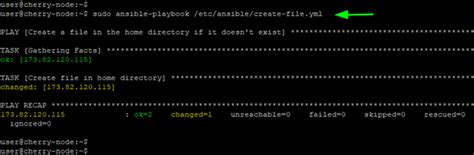 How To Run Remote Commands With Ansible Shell Module Cherry Servers