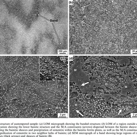 Microstructure Of Austempered Sample A Lom Micrograph Showing The Download Scientific