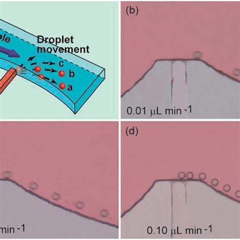 Microfluidic Device For Monodisperse Droplets Liquidliquid Extraction
