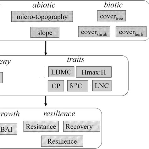 Sem Conceptual Framework Performance Of Juveniles Is Determined By