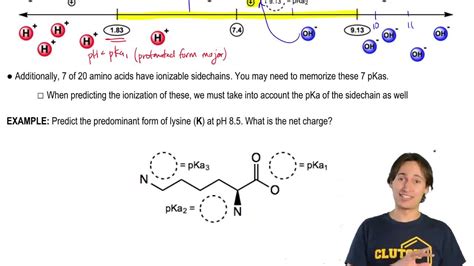 Draw The Structure Of The Predominant Form Of B Proline At Ph 2