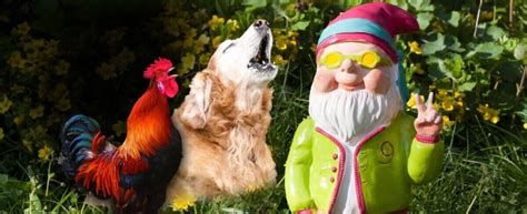 Nackter Nachbar im Garten sorgt für Unmut Rhöner Gartenfreunde