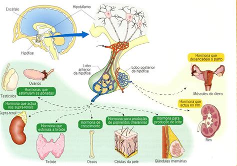 BiologÍa Para Todos
