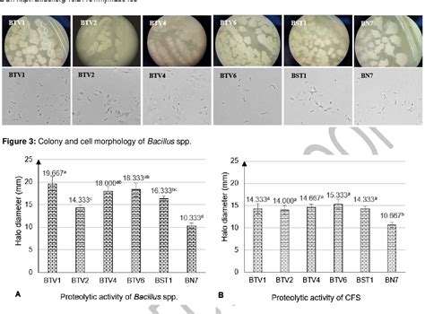 Figure 3 From Inhibition Of Biofilm Forming Bacteria And Probiotic Potential Of Bacillus Spp