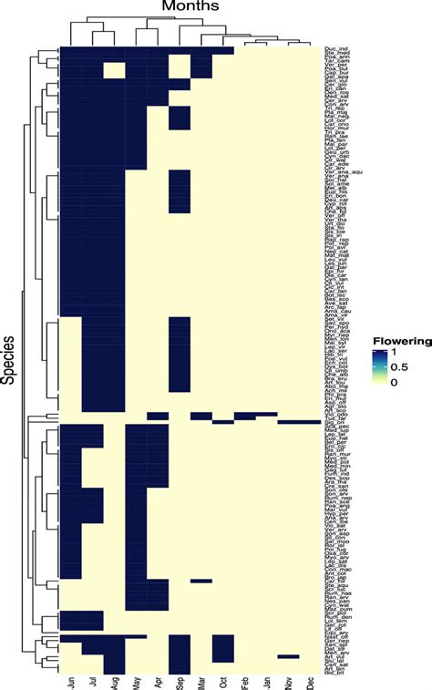Months Clustering Dendrogram Based On Phenological Response Download