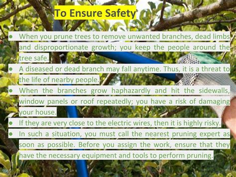 PPT What Is Tree Pruning Why Is Tree Pruning Necessary PowerPoint Presentation ID 8100762