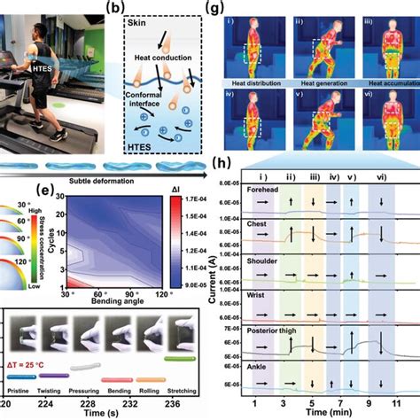 Demonstration Of Htes For Continuous Temperature Monitoring A Download Scientific Diagram