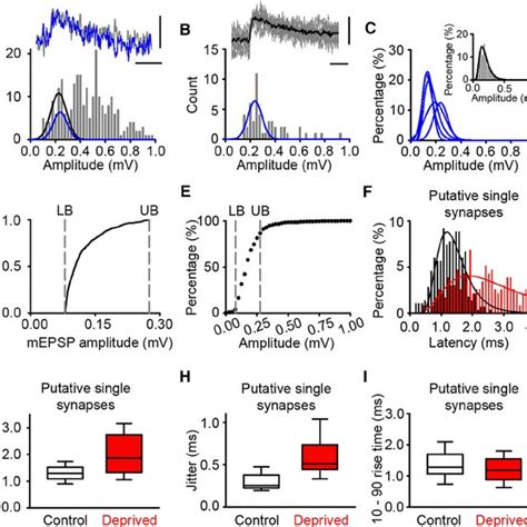Binary Network Capture E Cell Statistics Ai Binary Neuron Model