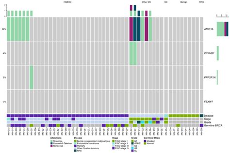 Oncoprint Of Gynaecologic Tumour Tissue Sample Mutation Data Download Scientific Diagram