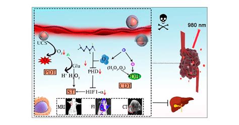 Upconversion Nanoparticle Based Smart Drug Delivery Platforms For Multimodal Imaging Guided
