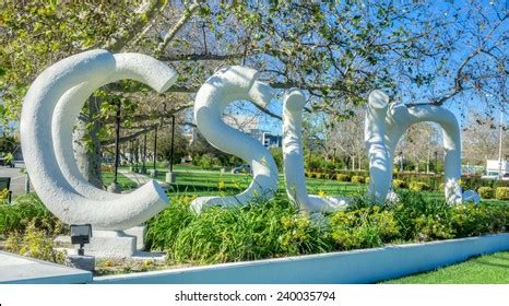 373 California State University Northridge Royalty Free Images Stock