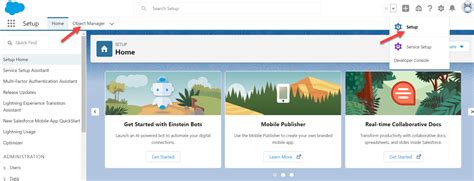 record types in salesforce