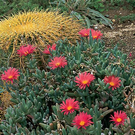 April 25 2018 Pba Tip Brought To You By Chris Lamberti Preferred Businesses Of Anthem