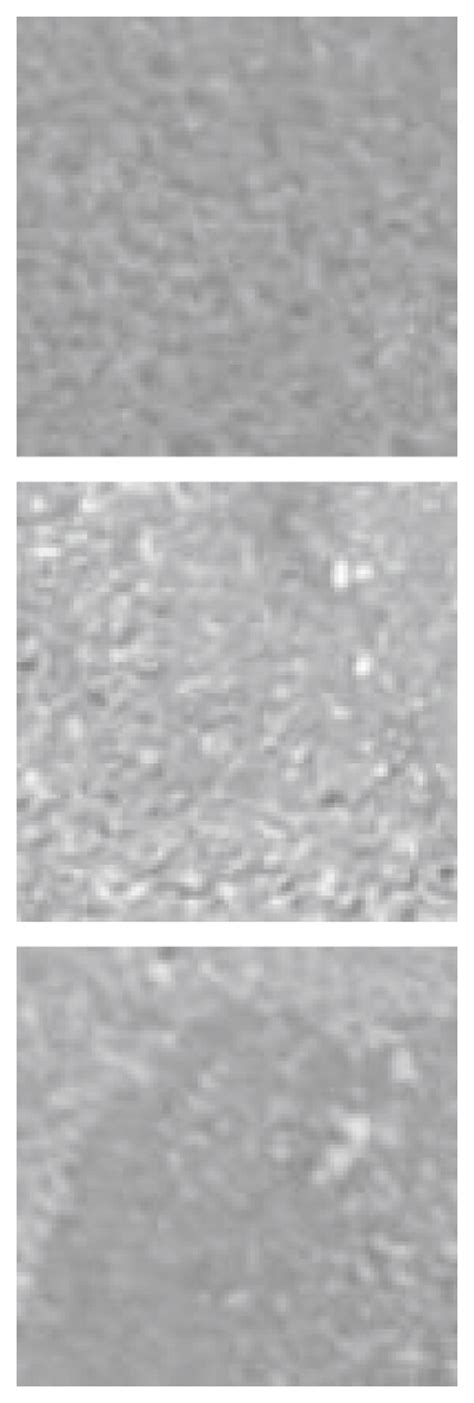 The Collected Dataset Of Pavement Images A Ac B Dc C Lc D Download Scientific