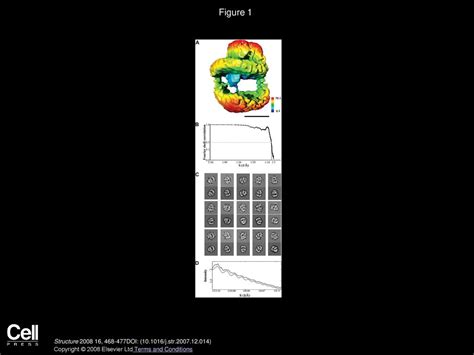 Volume 16 Issue 3 Pages March 2008 Ppt Download