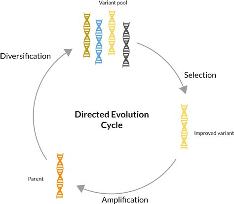 Teamathenstheoretical