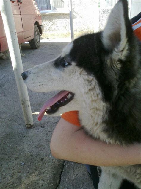 ЛуДи73е дА ХаР3Са7 Случвало ли ви се е Facebook