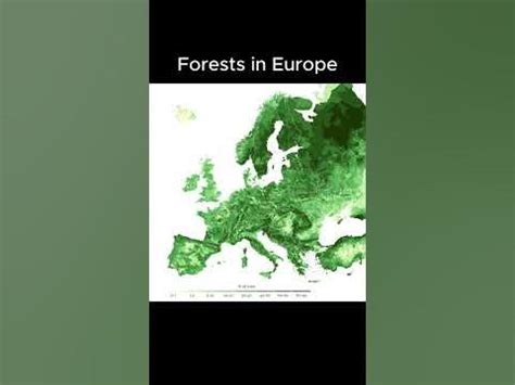Forests In Europe Wildlife Forests Europe Edit Youtube