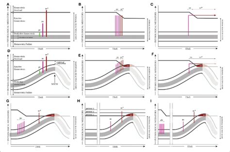 the reactive scope model a c and the maternal reactive scope model