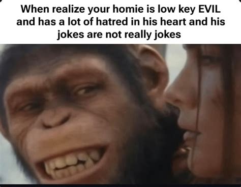 Latest Memes New Memes Memedroid