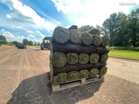 Gazon Naturel En Rouleau Jardin And Plantes Doccasion Leboncoin