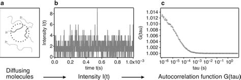 Schematic View Of A Typical Fcs Measurement A Diffusion Of