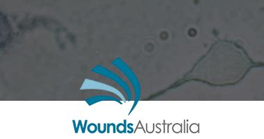 Altered Macrophage Phenotypes Impair Wound Healing Wound Care Weekly