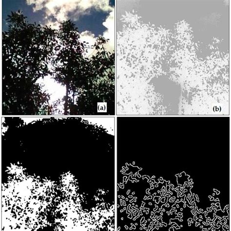 Example For Stages During Image Analysis A Original Image RGB B Download Scientific