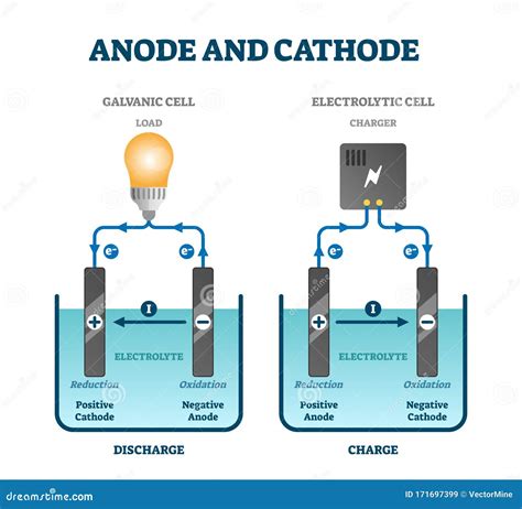 Anode And Cathode Scientific Physics Education Diagram Vector