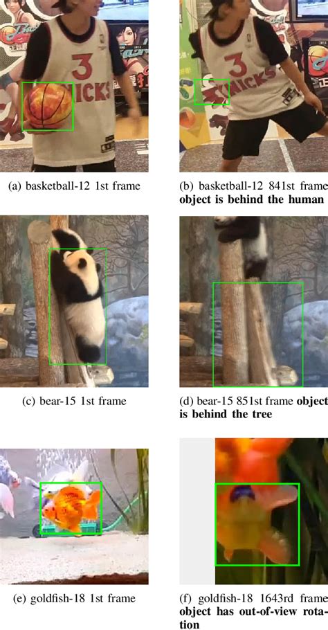 Figure 1 From Improving Human Annotation In Single Object Tracking Semantic Scholar