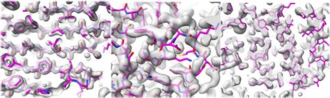 Researchers Assess Alphafold Model Accuracy New Mexico Consortium