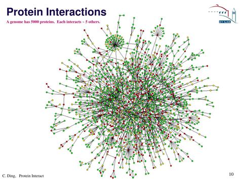 Ppt Protein Interaction Module Detection Using Matrix Based Graph Algorithms Powerpoint