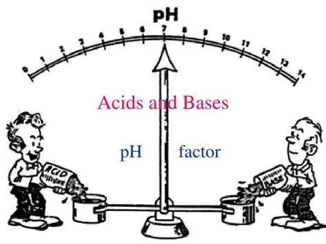 PPT Acids And Bases PowerPoint Presentation Free Download ID 3105102