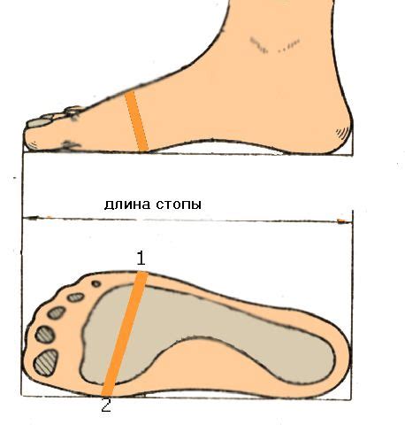 Таблица размеров обуви