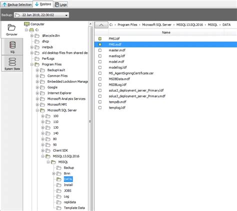How To Restore A Ms Sql Database Using Backupvault Pro Help Centre