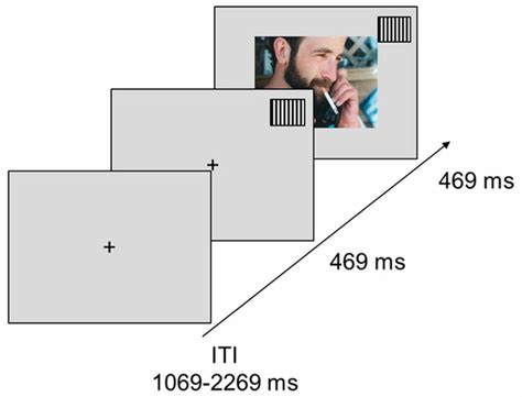 Schematic Representation Of The Experimental Paradigm Download