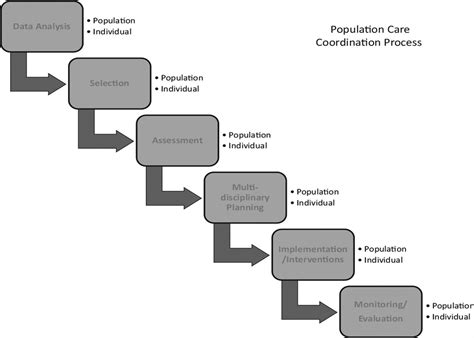 Professional Case Management