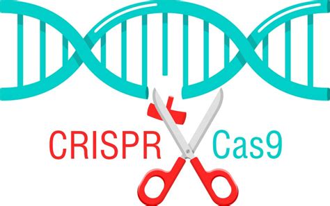 Crispr Cas9 Vector Images Over 300