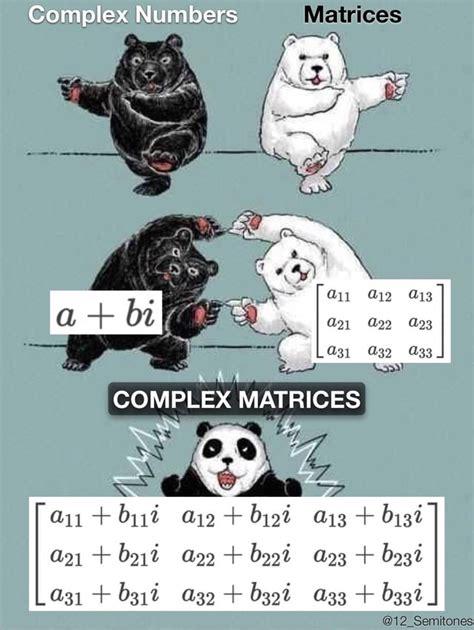 Solving Differential Equations In Python A Guide To Setting Up And Solving First Order Coupled