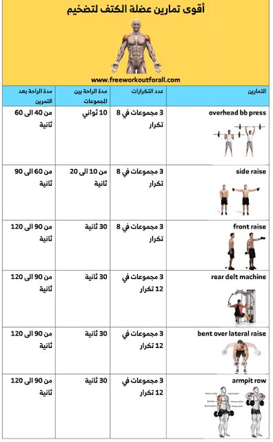 جدول تمارين الكتف Shoulder Workout Gym Workout Planner Gym Workout