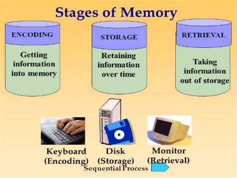 memory pdf