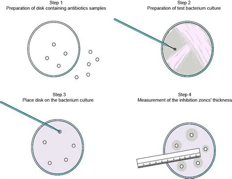 Clsi Antimicrobial Susceptibility Testing R Antibodynew