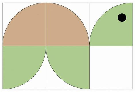 Turtle Shell Diagram