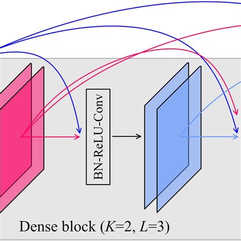 A Dense Block With L 3 Layers And Growth Rate K 2 The Input To A Download Scientific