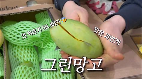 🍋그린망고 속은 노란색 그 맛은 과연 안 익은 망고 아니야 Youtube