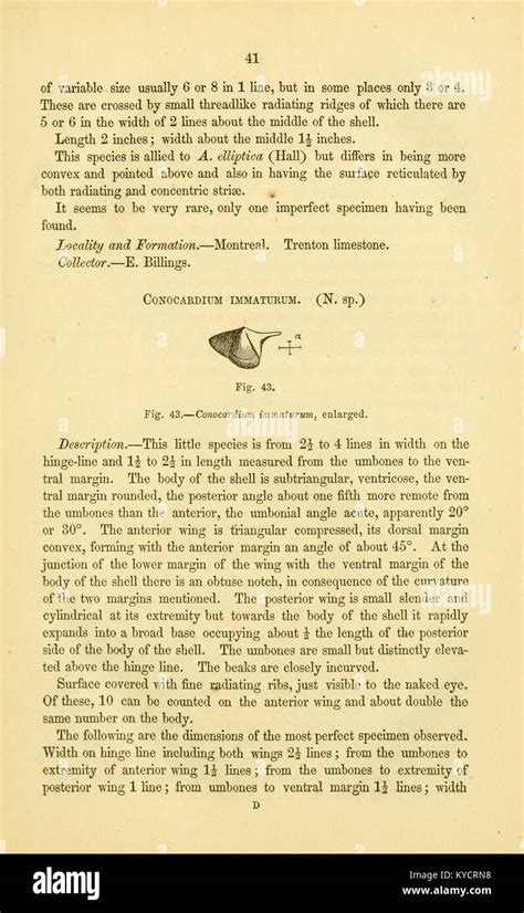 This Page From The Bhl Archive Illustrates Paleozoic Fossils Showcasing Prehistoric Life Forms