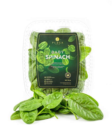 Baby Spinach Plagafarm